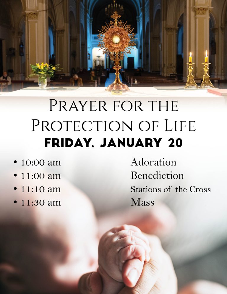 Pious Union of St. Joseph – Patron for the Suffering and Dying